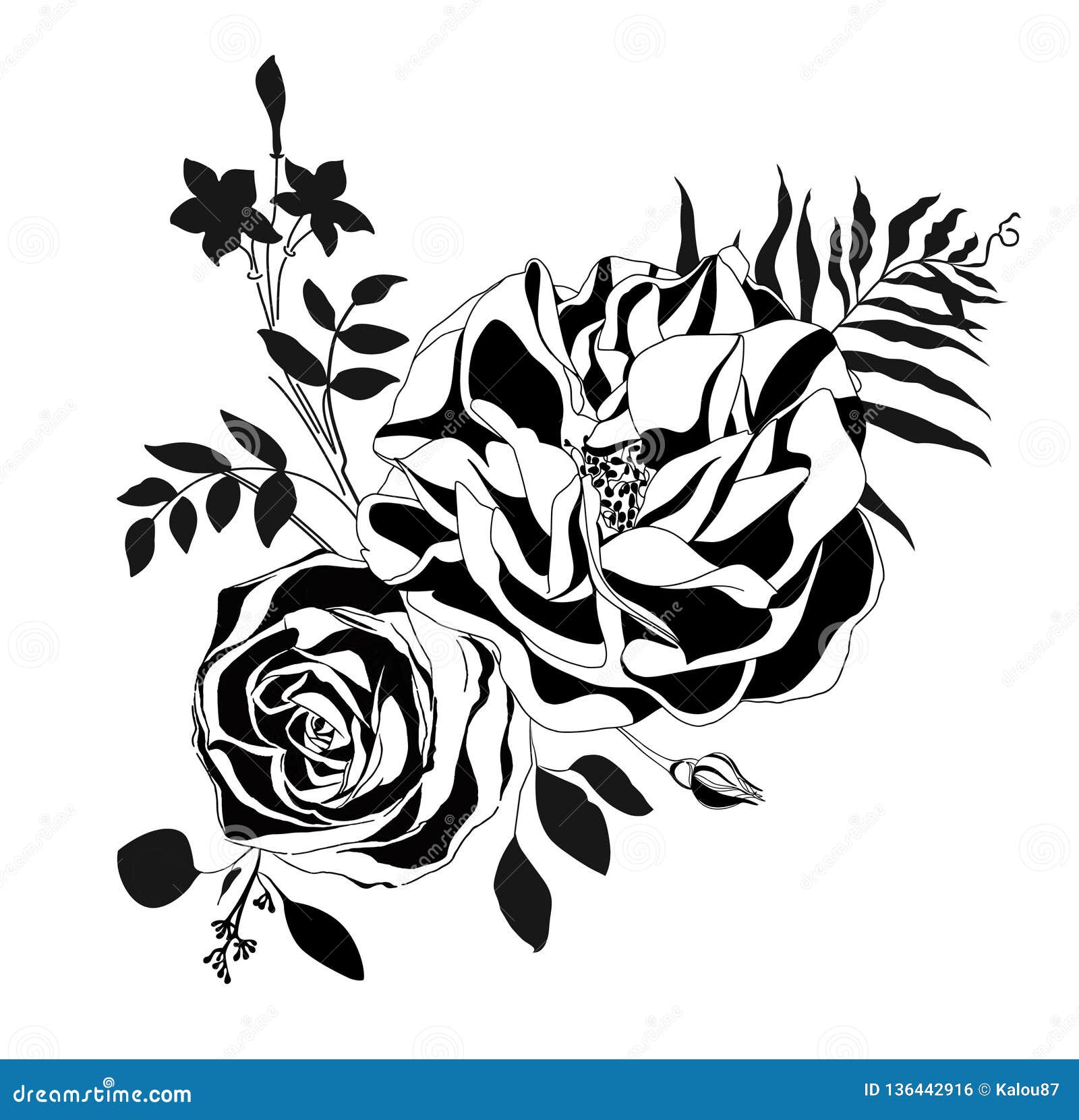 Black Rose Vector On White Detailed Hand Drawn Roses Stock Vector Illustration Of Beautiful