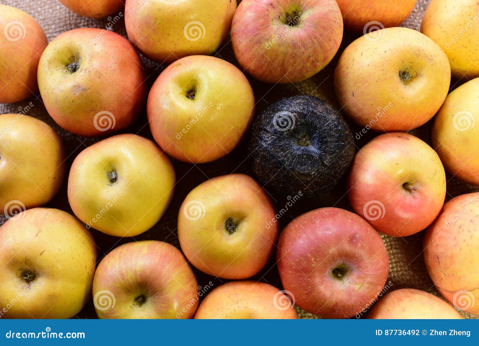 Black Rotten and Fresh Apples Stock Photo - Image of apple, rotten ...