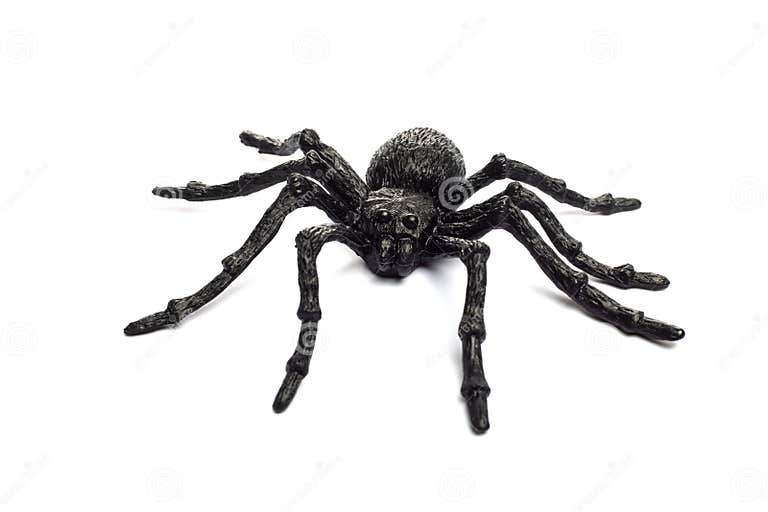 Black Rubber Spider Toy Isolated on a White Background. Black Spider ...