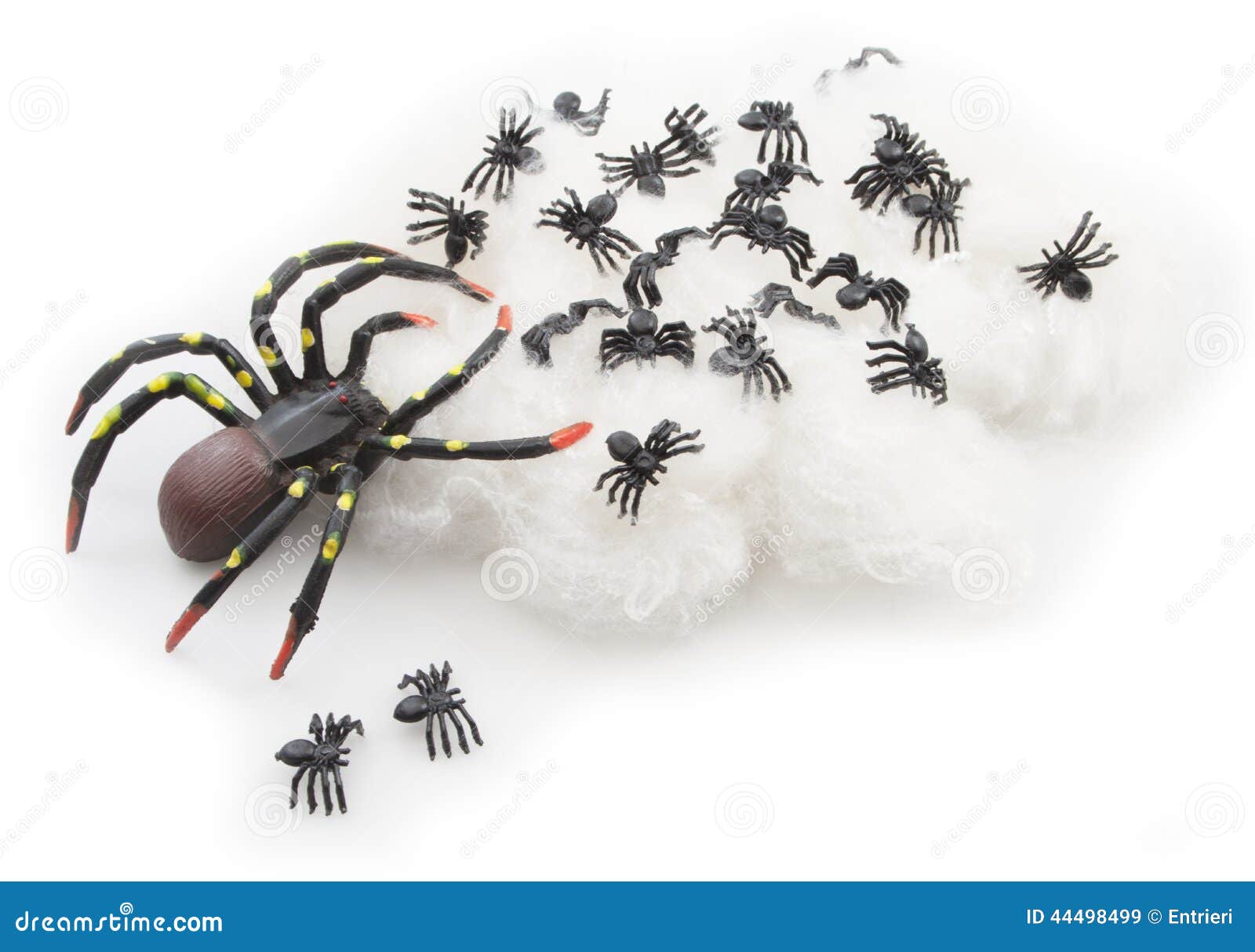 Black rubber spiders stock image. Image of tarantula - 44498499