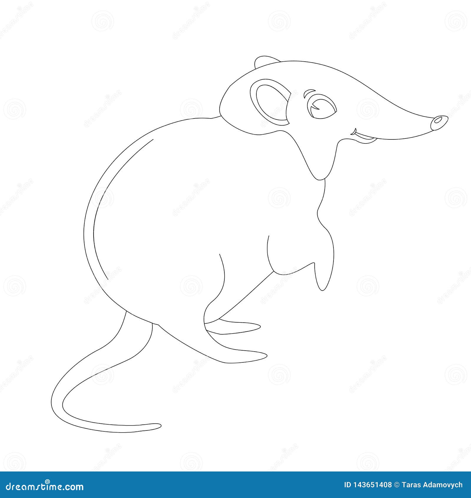How To Draw A Shrew