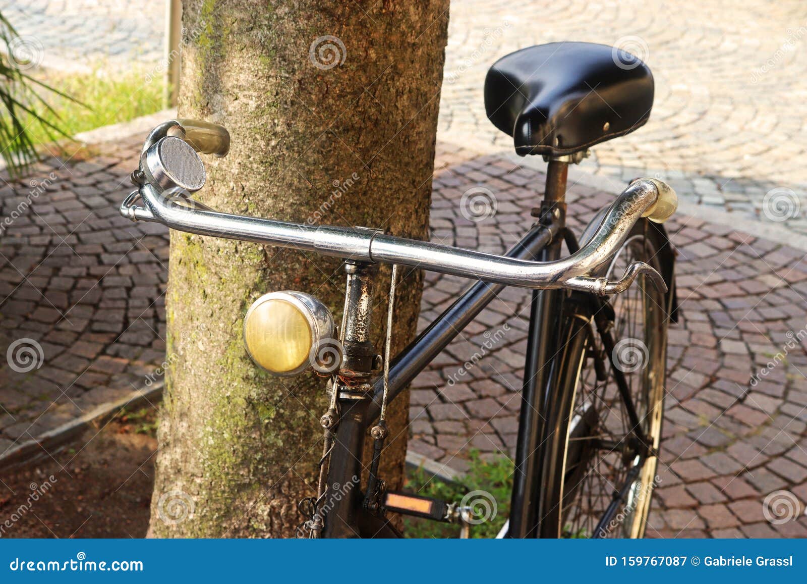 Black and Rusty Retro Bicycle for Men Leaning on a Tree Trunk Stock ...