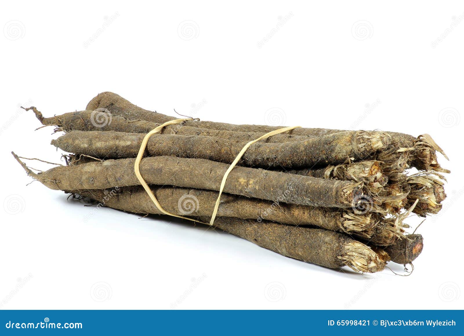 Black salsifies stock image. Image of harvest, salsifiy - 65998421