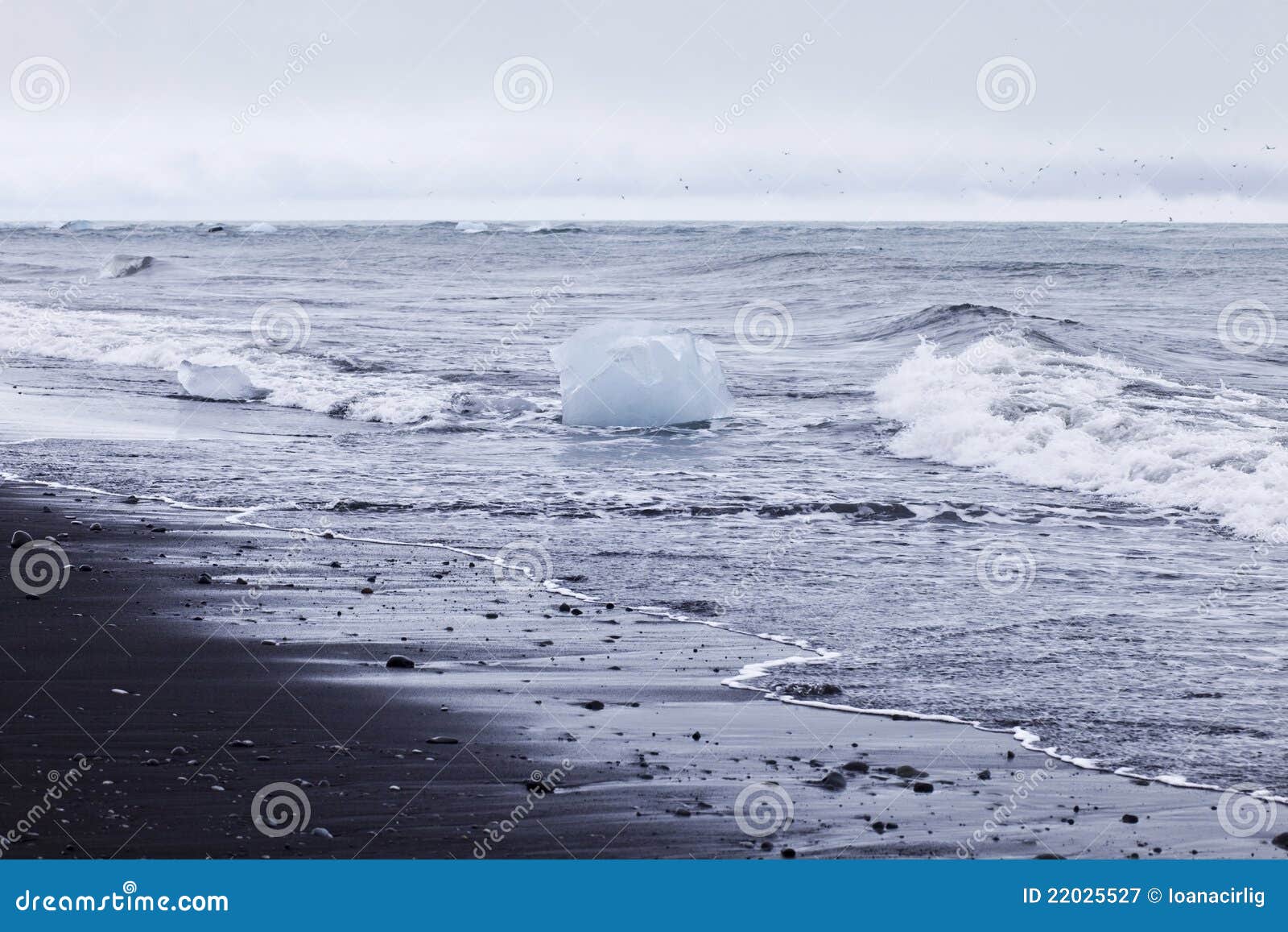Black Sand Beach with Ice stock image. Image of ecology - 22025527