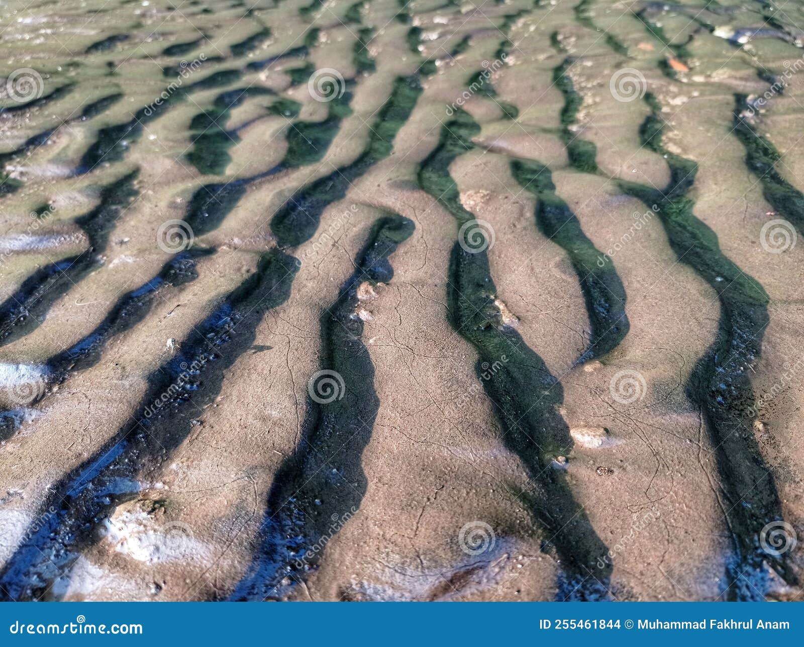 The Black Sand on the River Forms a Unique Texture Stock Photo - Image ...