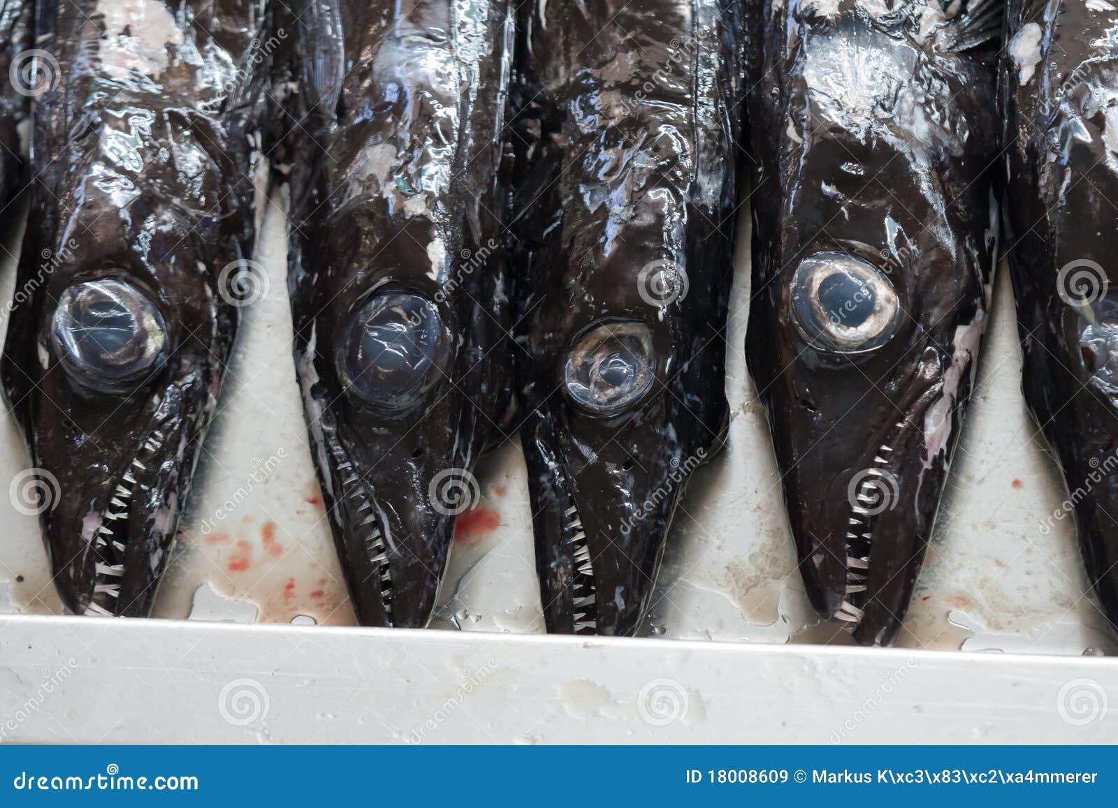 Black scabbard fish stock image. Image of black, madeira - 18008609