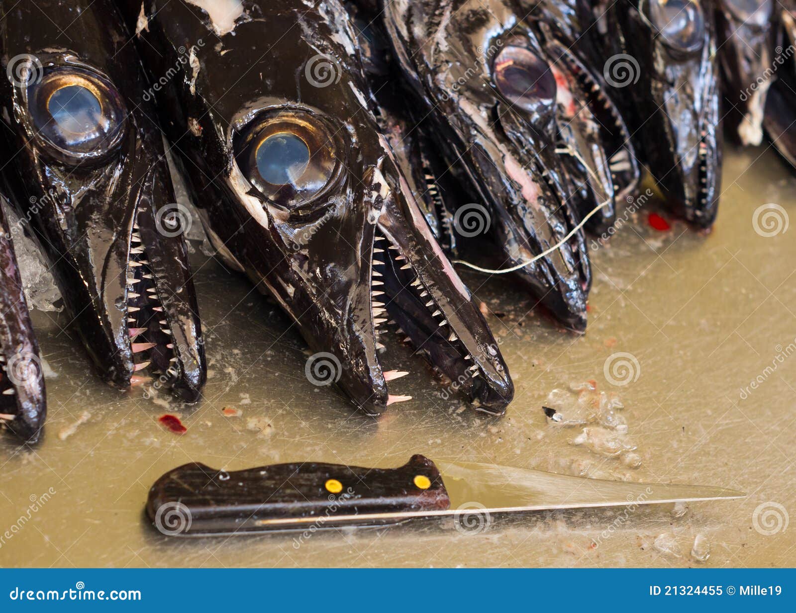 Black Scabbard fish stock image. Image of knife, fillet - 21324455