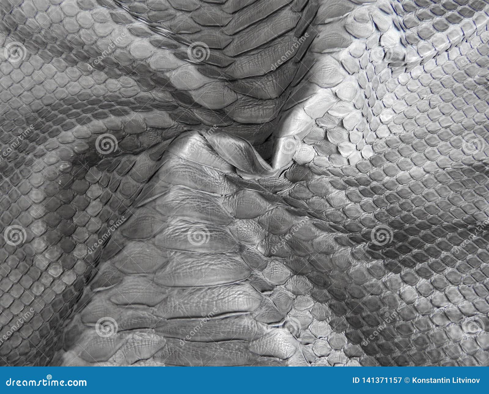 Black Scaled Python Skin, Black for Texture Stock Image - Image of ...