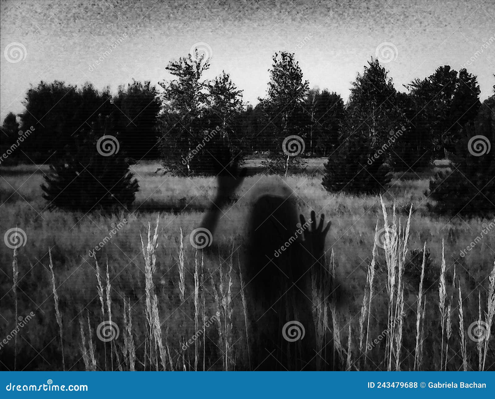 A Black Scary Figure among the Trees Stock Photo - Image of trees ...