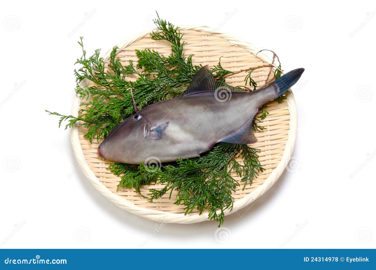 Black scraper stock photo. Image of dinner, squama, green - 24314978