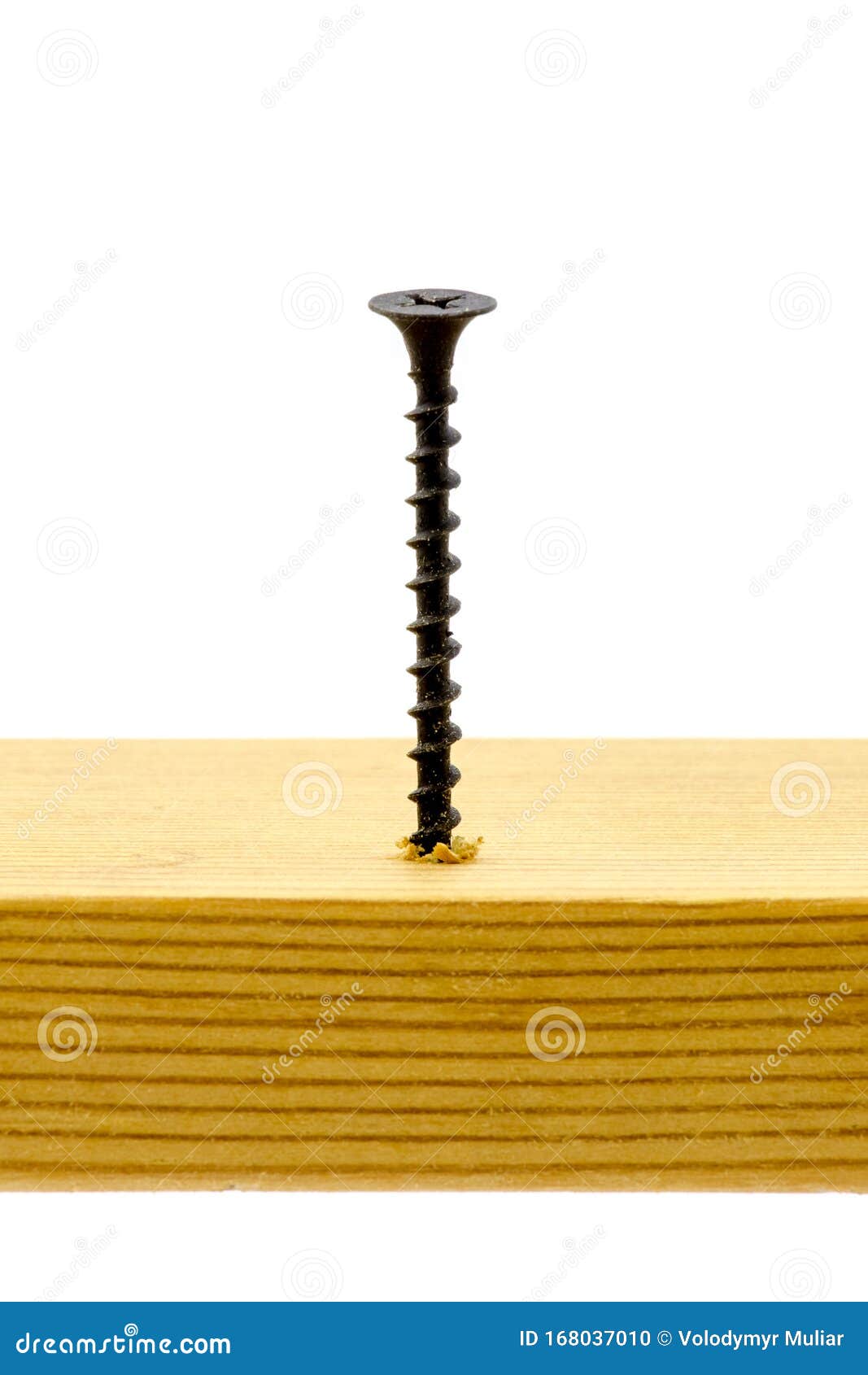 Black Screwed into Wood on White Isolated Background_ Stock Photo ...