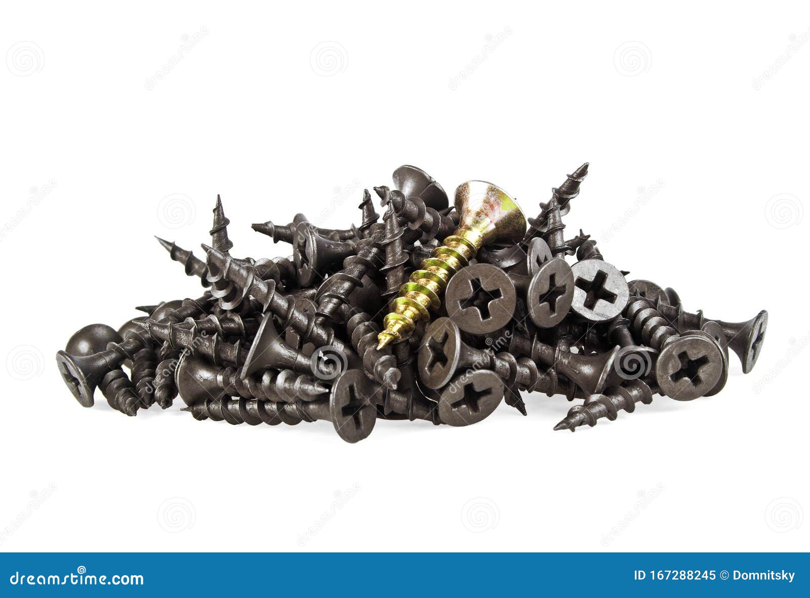 Gold and Black Screws on White Background Stock Image - Image of ...