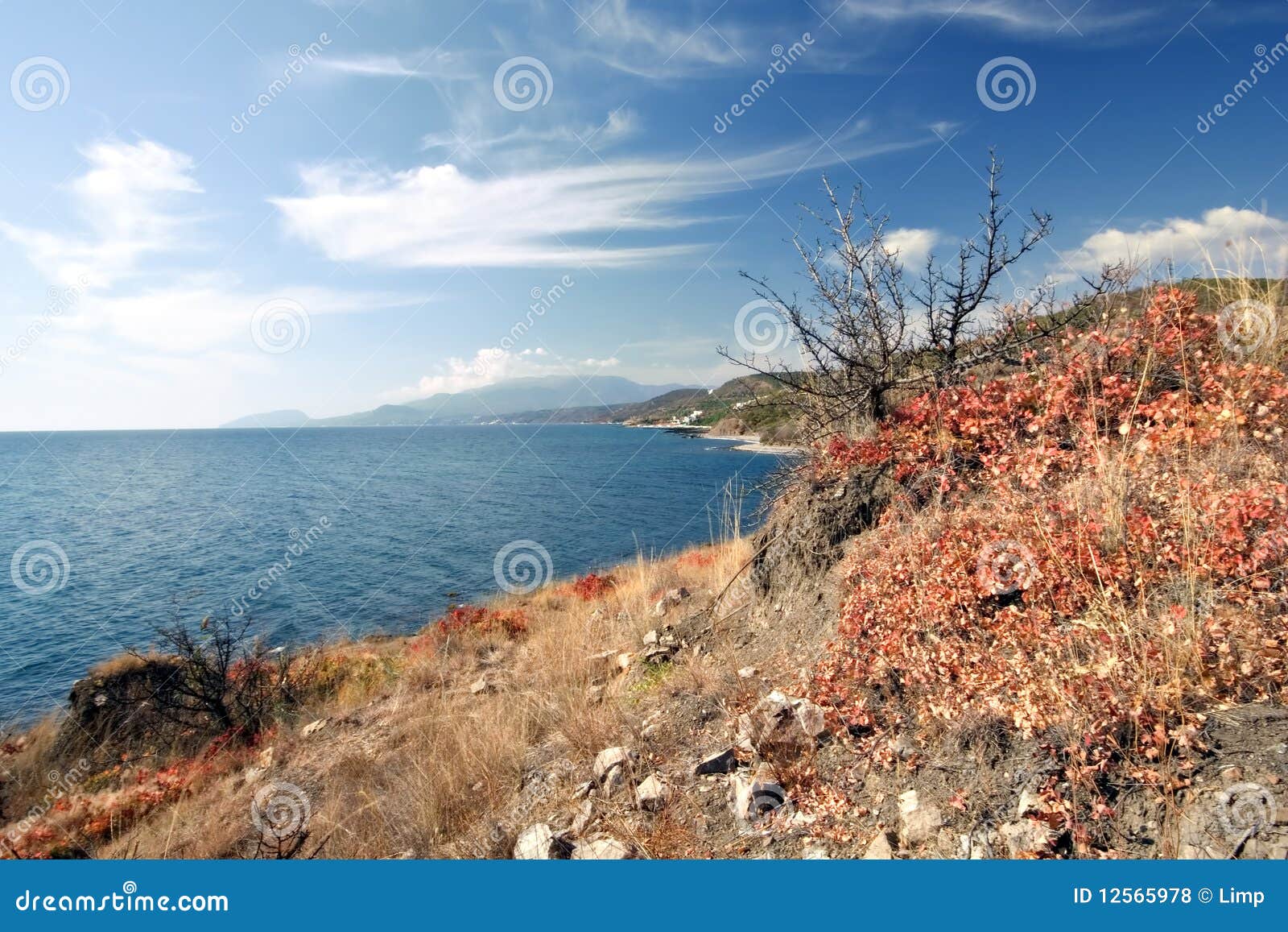 Black Sea coast in autumn stock photo. Image of tourism - 12565978