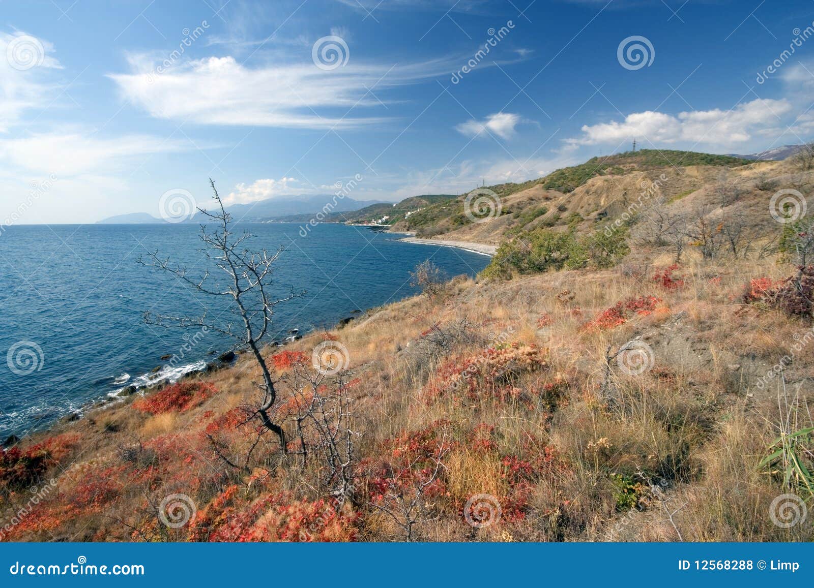 Black Sea coast in autumn stock photo. Image of mountains - 12568288