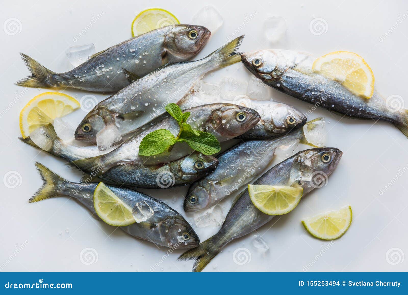 Black Sea Fresh Bluefish on White. Fish Pattern. View from Above Stock ...