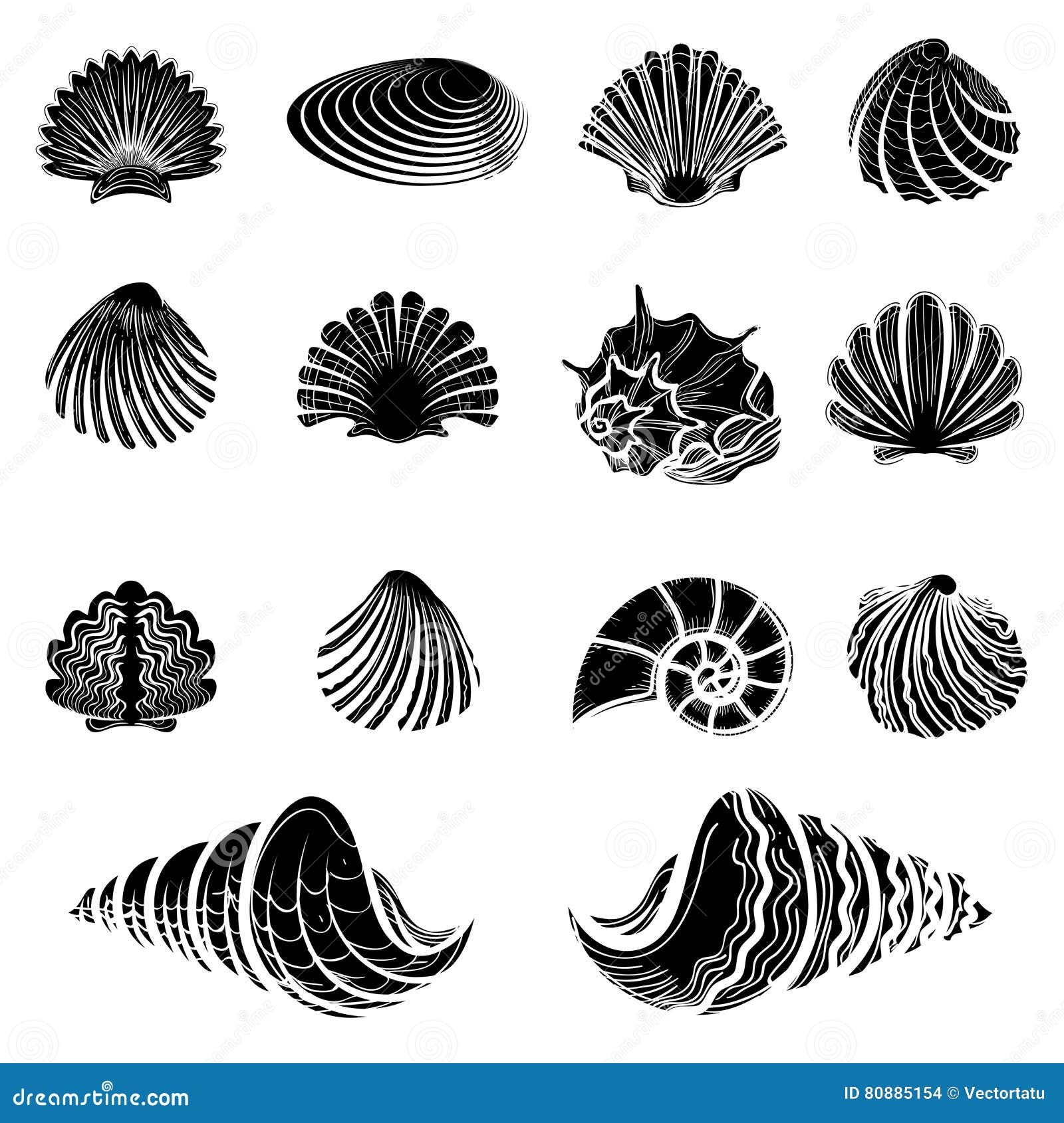 Black Sea Shells Silhouettes Collection Stock Vector - Illustration of ...