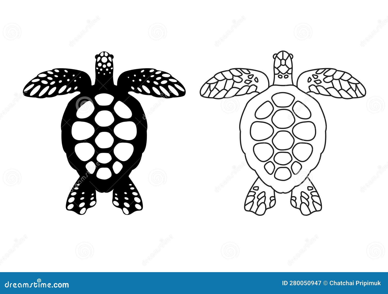 Black Sea Turtle Drawings, Vector Stock Vector - Illustration of doodle ...