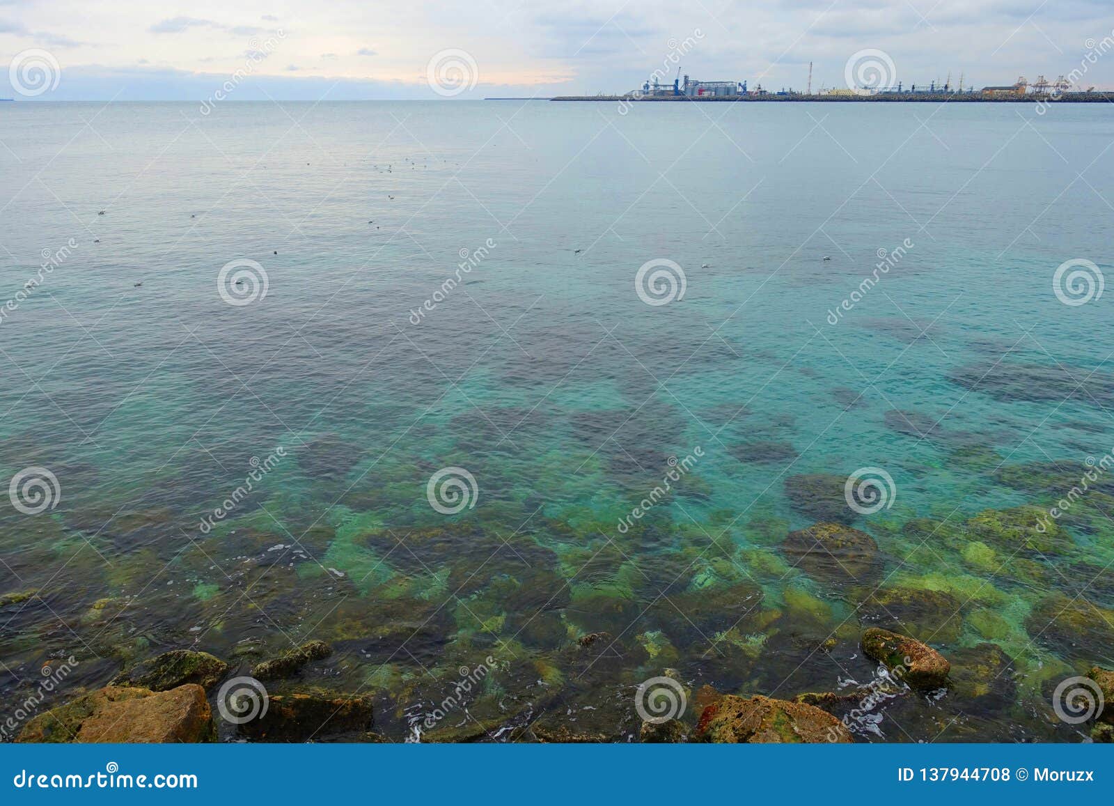 Crystal Clear Black Sea Water Stock Photo - Image of clear, landscape ...