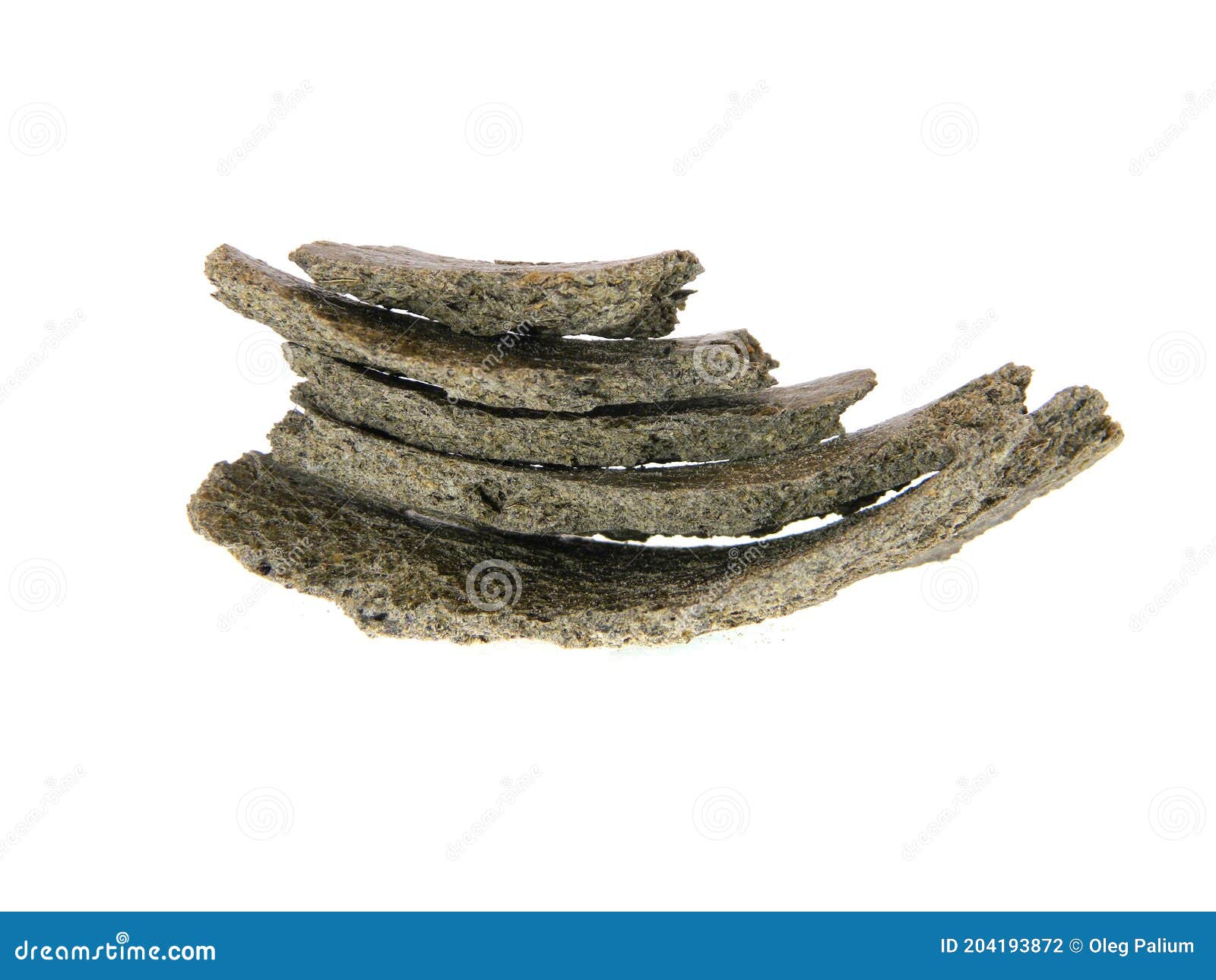 Black Seed Waste Isolated on White Background Stock Photo - Image of ...