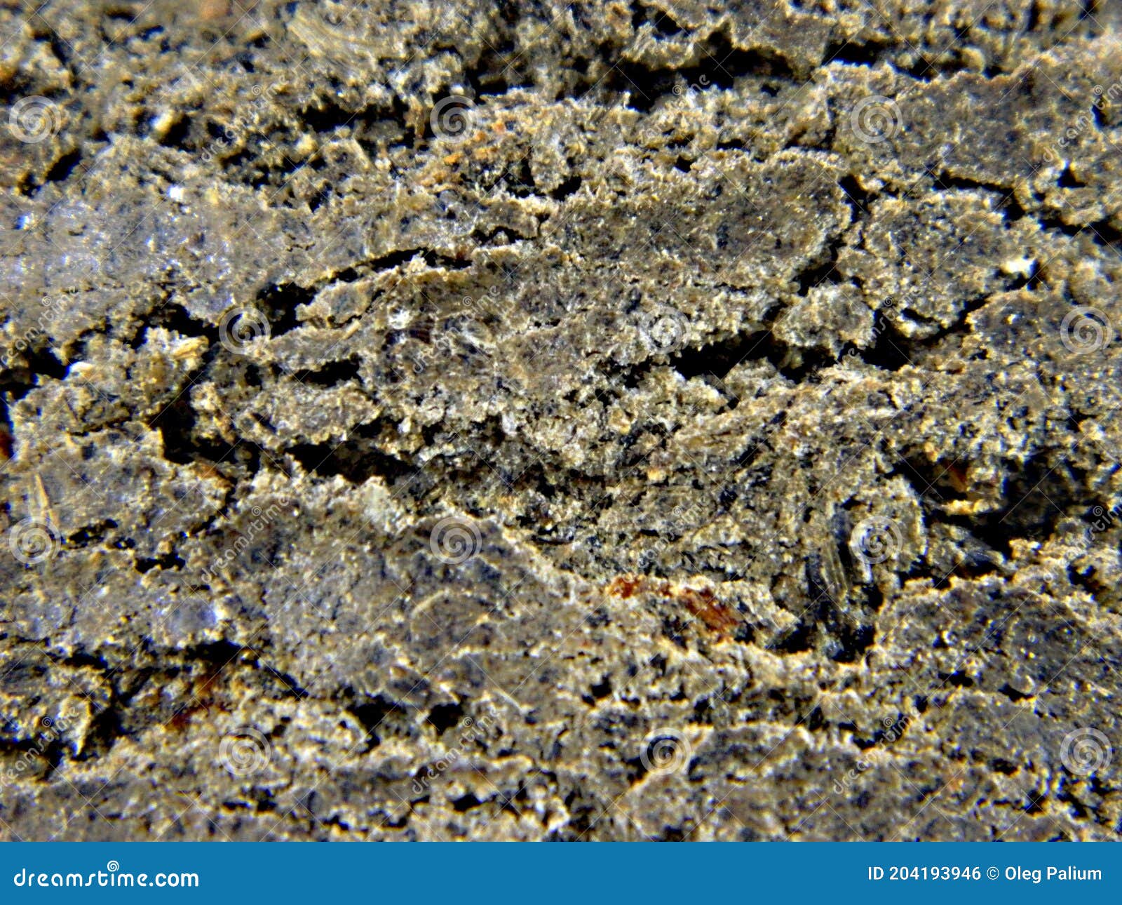 Black Seed Waste Isolated on White Background Stock Photo - Image of ...