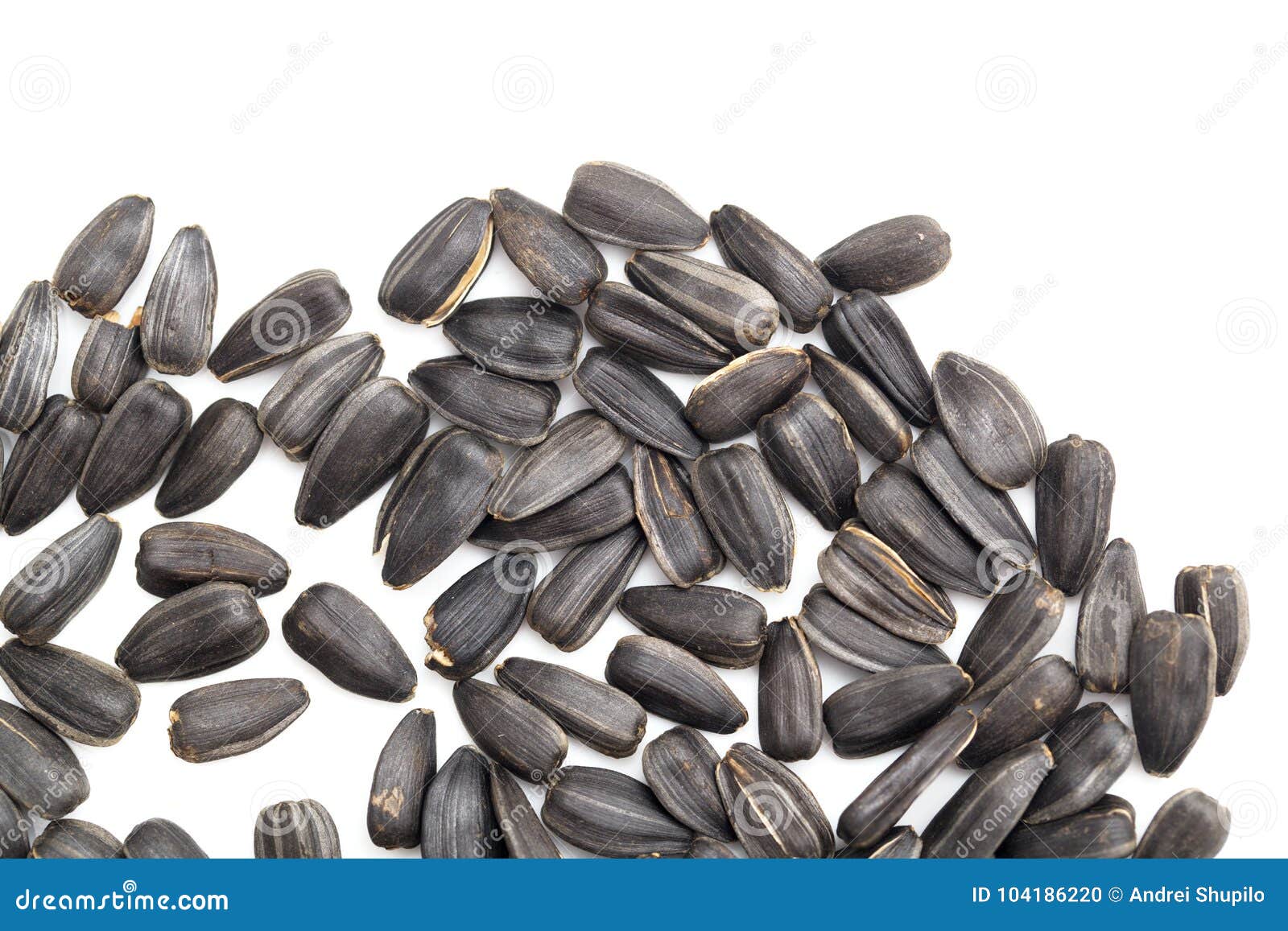 Black Seeds on a White Background Stock Photo - Image of ingredient ...