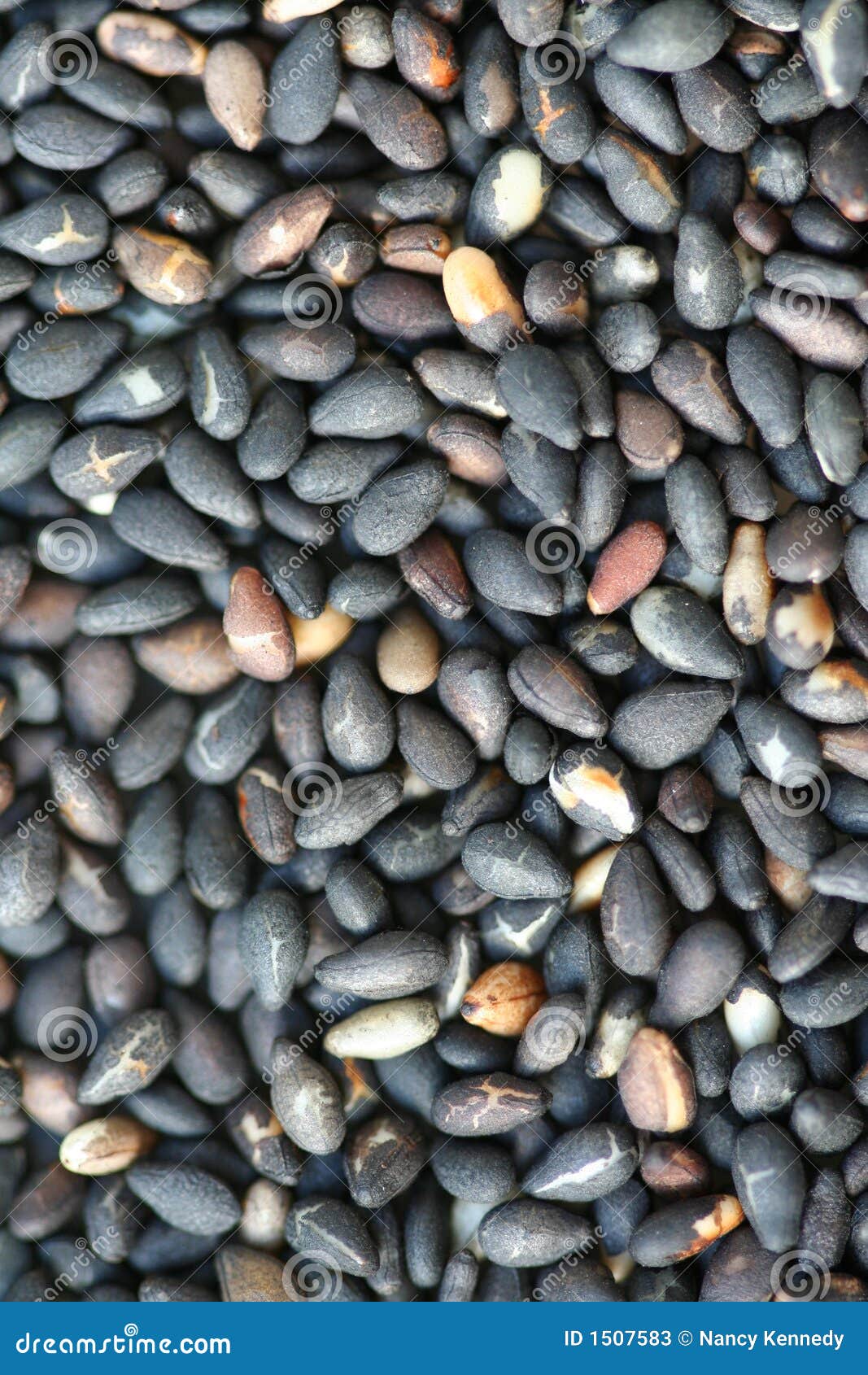 4,223 Sesame Seeds Black Macro Stock Photos - Free & Royalty-Free Stock ...