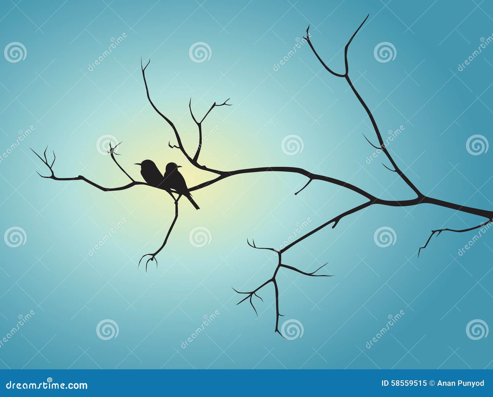 Shadow Of An Bird Migrating Ducks Silhouette Stock Photo ...