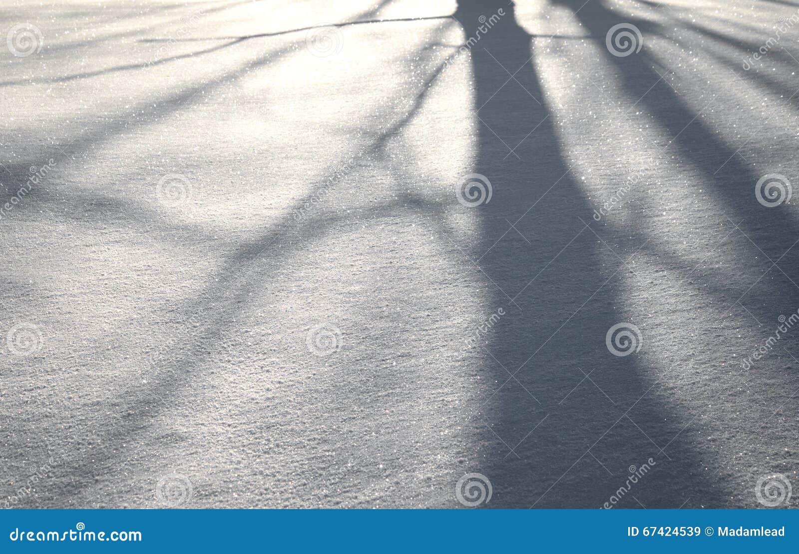 34,413 Black Shadow Tree Photos - Free & Royalty-Free Stock Photos from ...