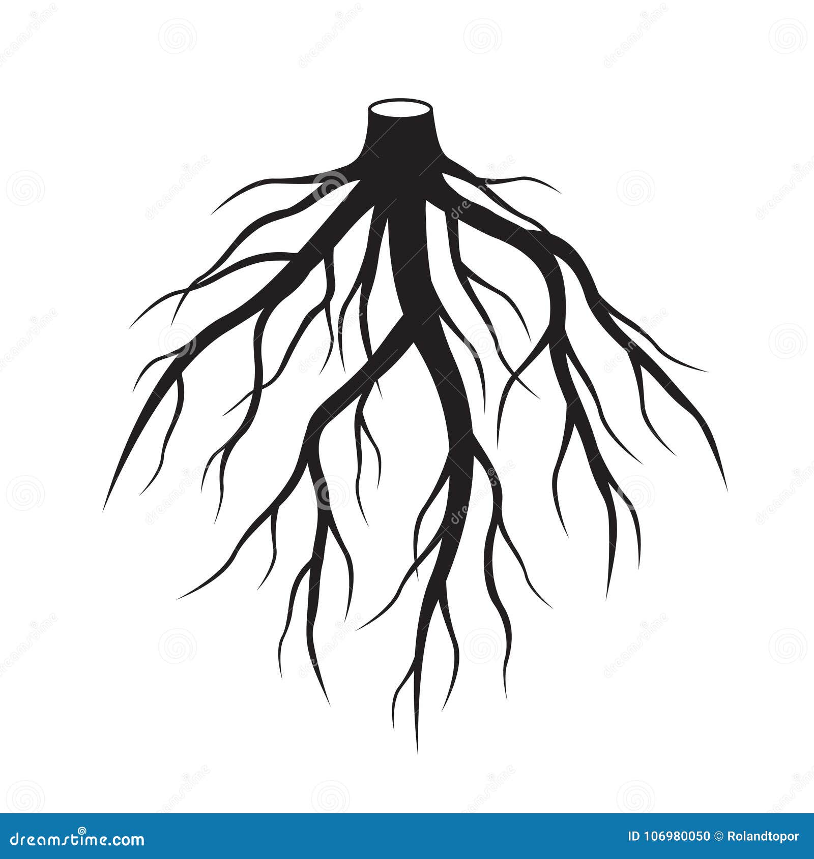 Black Roots Tree. Vector Illustration. Stock Vector - Illustration of ...