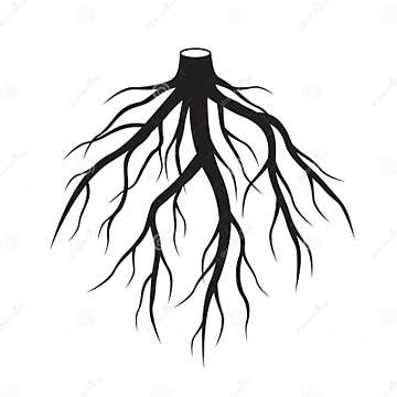 Black Roots Tree. Vector Illustration. Stock Vector - Illustration of ...