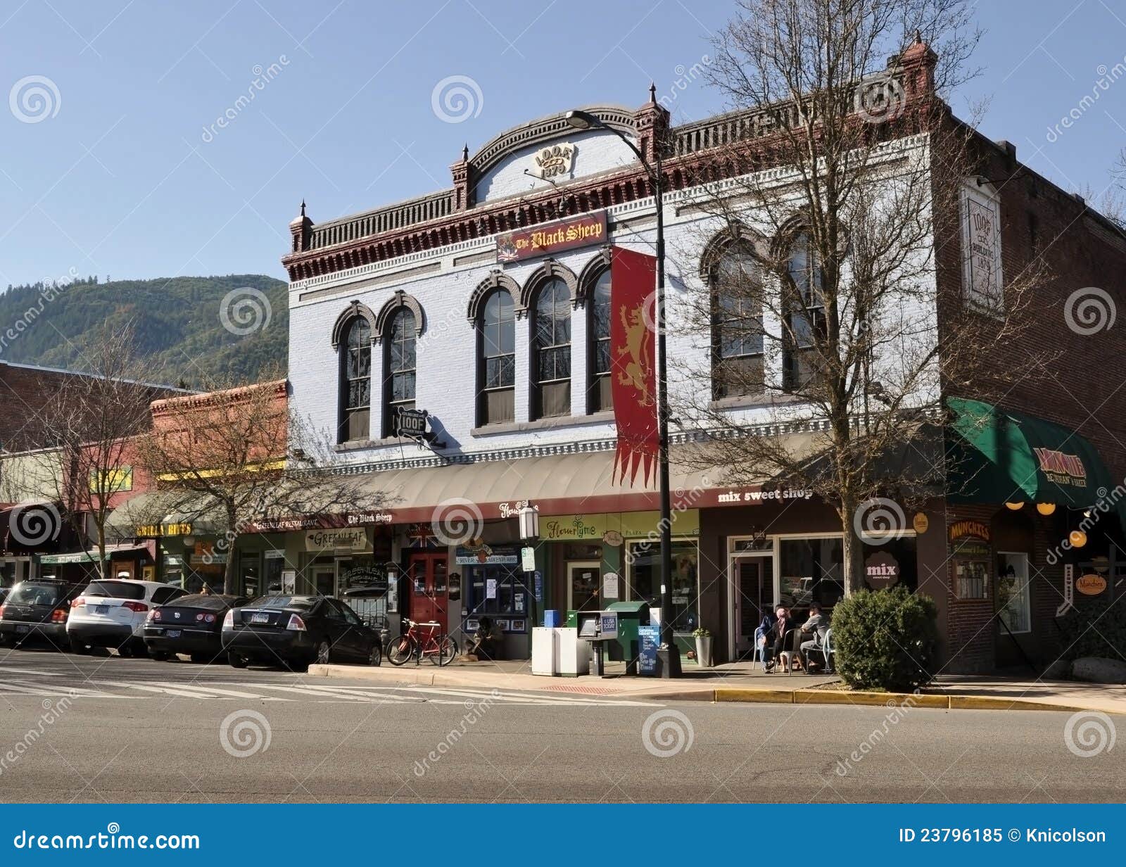 Black Sheep Pub editorial image. Image of dining, house - 23796185