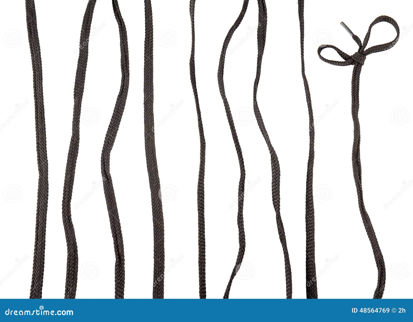 Black Shoelace on White Background Stock Image - Image of isolated ...