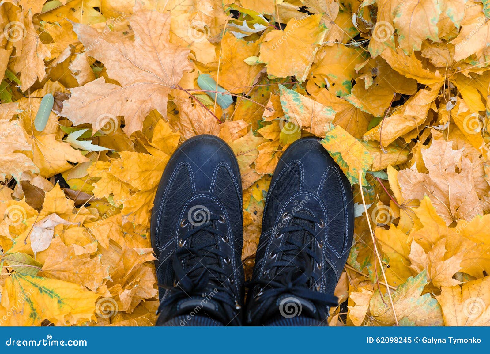 Black Shoes on a Background of Autumn Leaves Stock Image - Image of ...