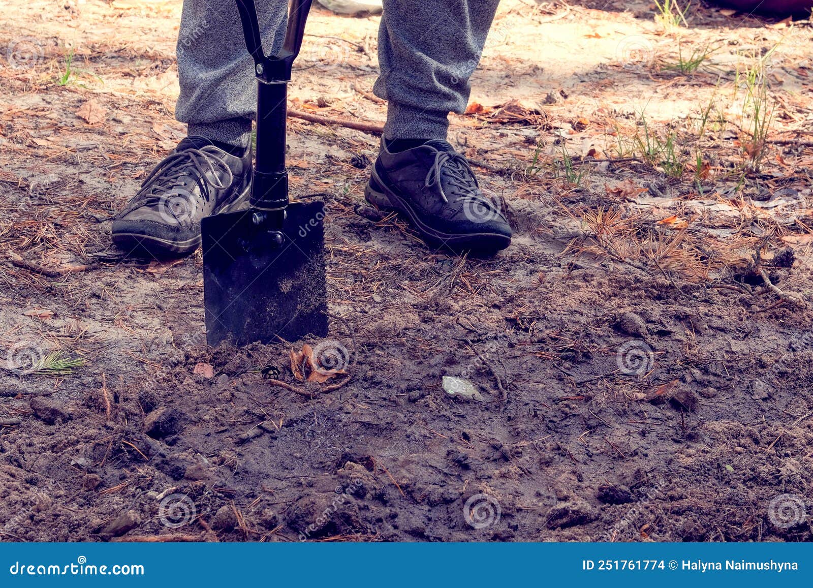 Black Shovel in Human Hands. Man Digs Soil with a Shovel in the Forest ...