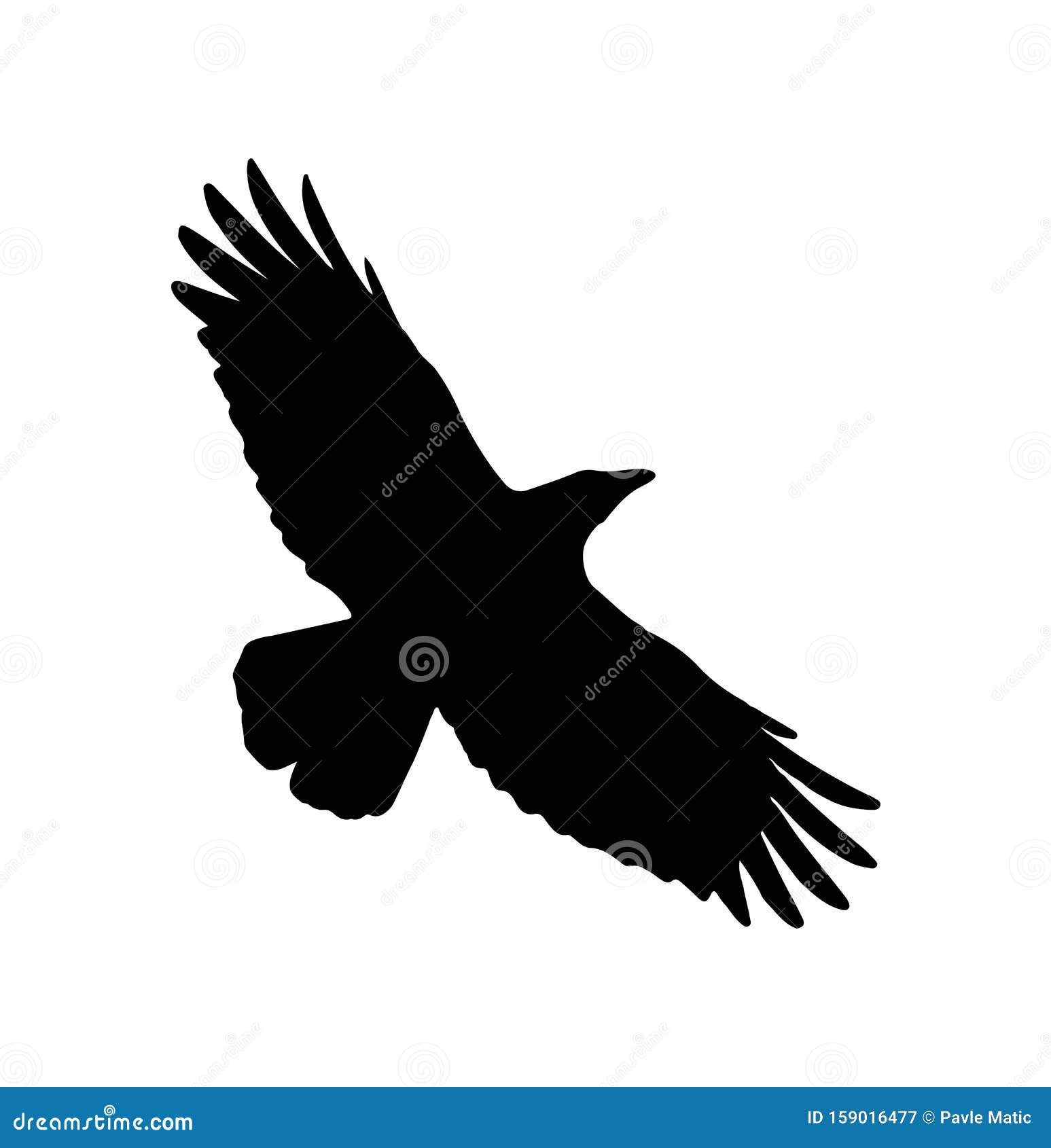 Bird Flying Letter Vector Illustration | CartoonDealer.com #42791412