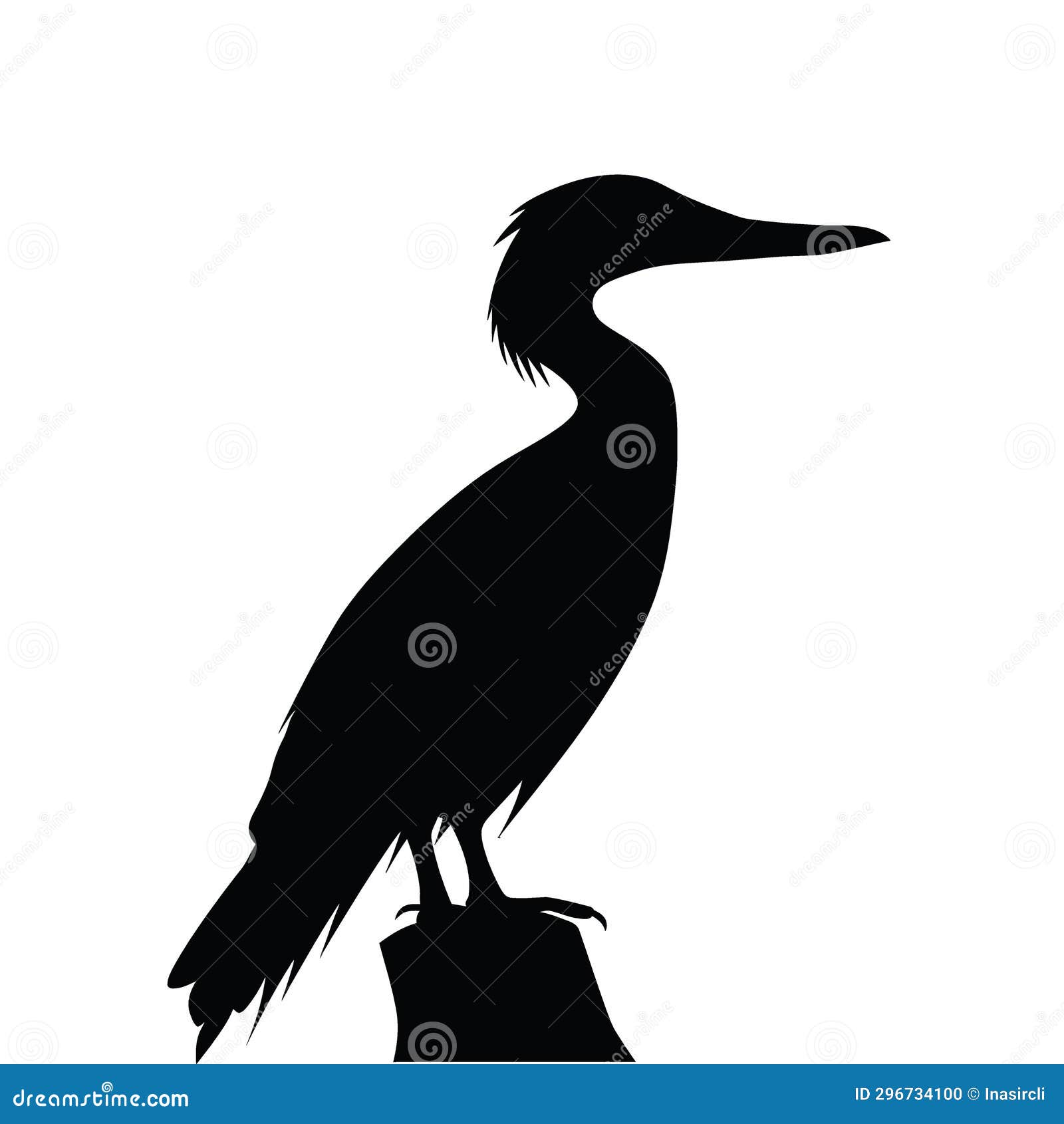 Black Silhouette of a Cormorant Stock Vector - Illustration of avian ...