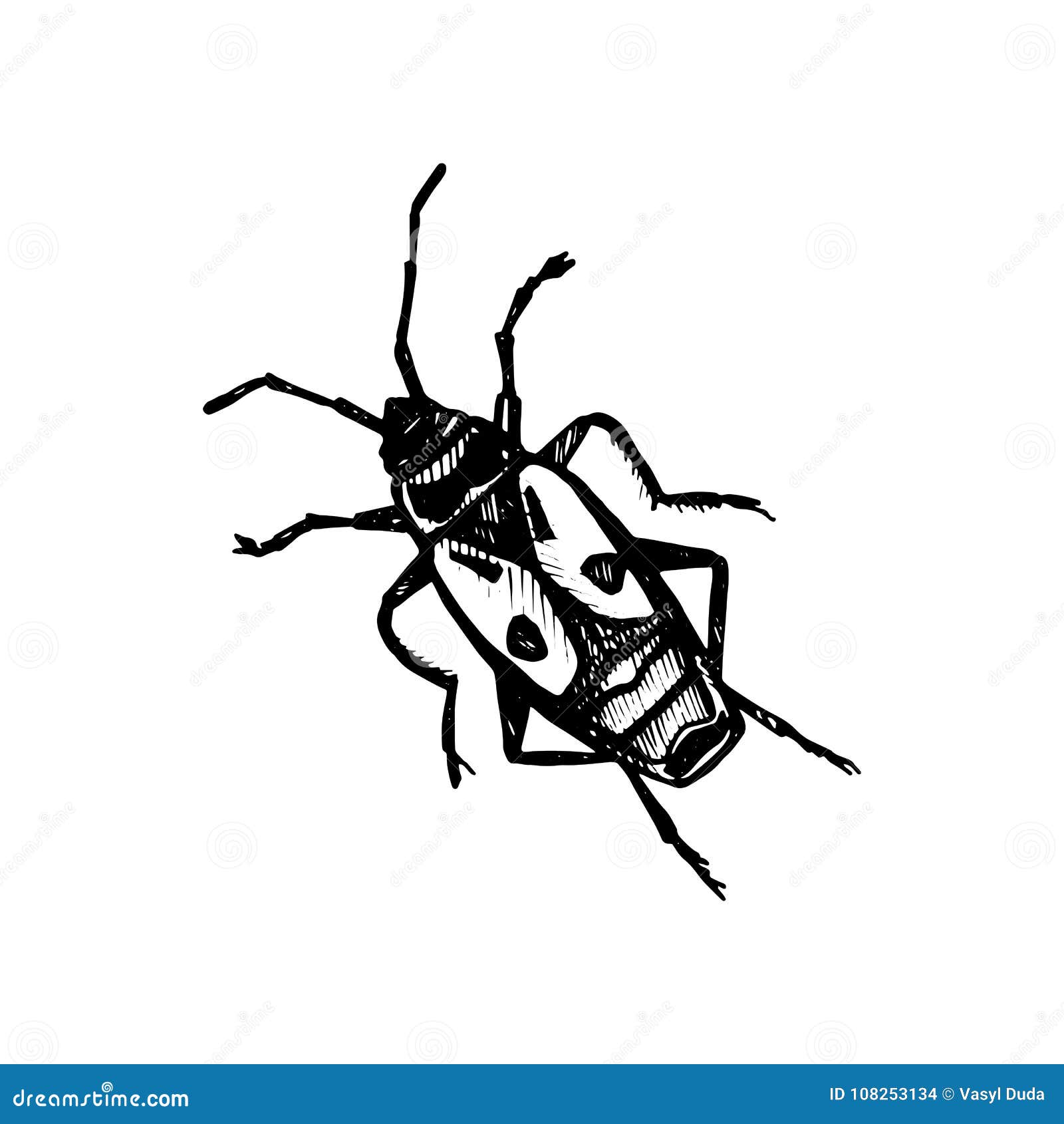Firebug Icon stock vector. Illustration of macro, biology - 108253134