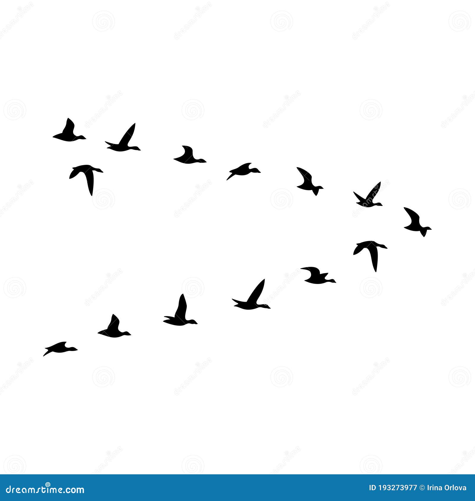 Flock Of Ducks. A Cartoon Flock Of Birds. Vector Illustration Of Flying ... Flock Of Ducks. A Cartoon Flock Of Birds. Vector Illustration Of Flying ...