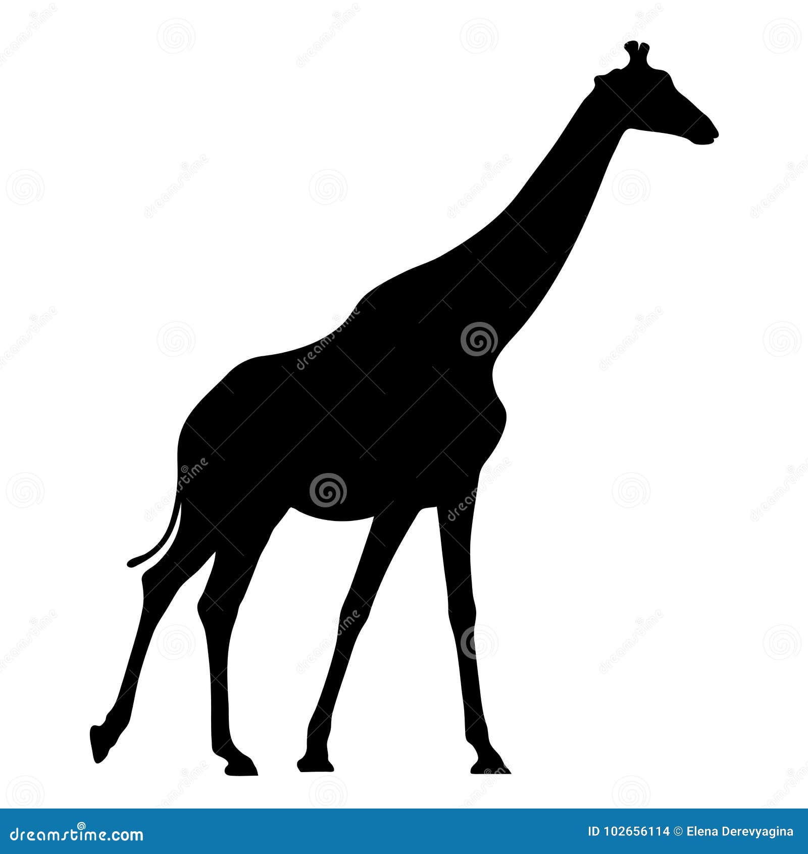 Vector Giraffe Face Black Silhouette.Isolated On White With Hand Drawn ...