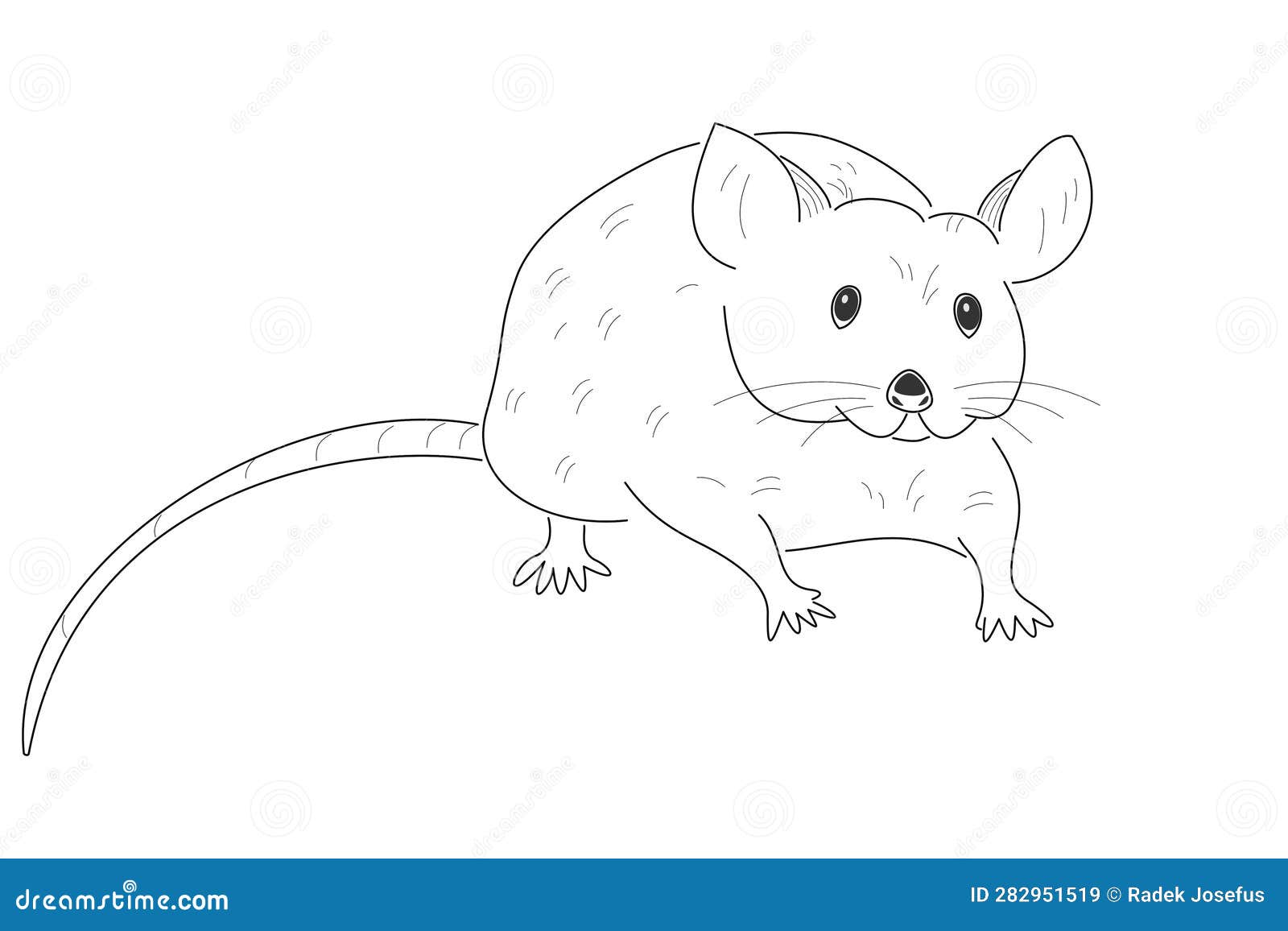 Black Silhouette of a House Mouse Stock Illustration - Illustration of ...
