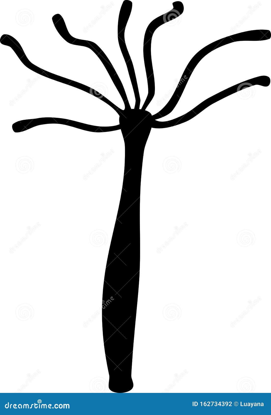 Silhouette Of Hydra Cartoon Vector | CartoonDealer.com #67045981