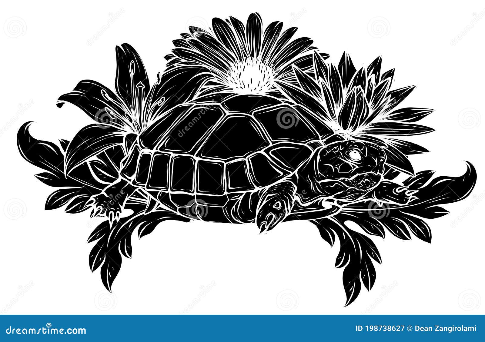 Land Turtle Illustration Cartoon Vector | CartoonDealer.com #2580709