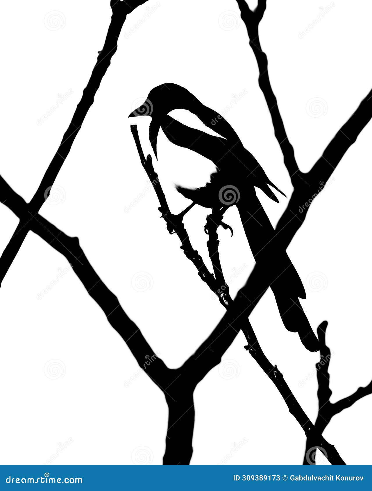 Black Silhouette of Magpie on Tree Branches Stock Illustration ...