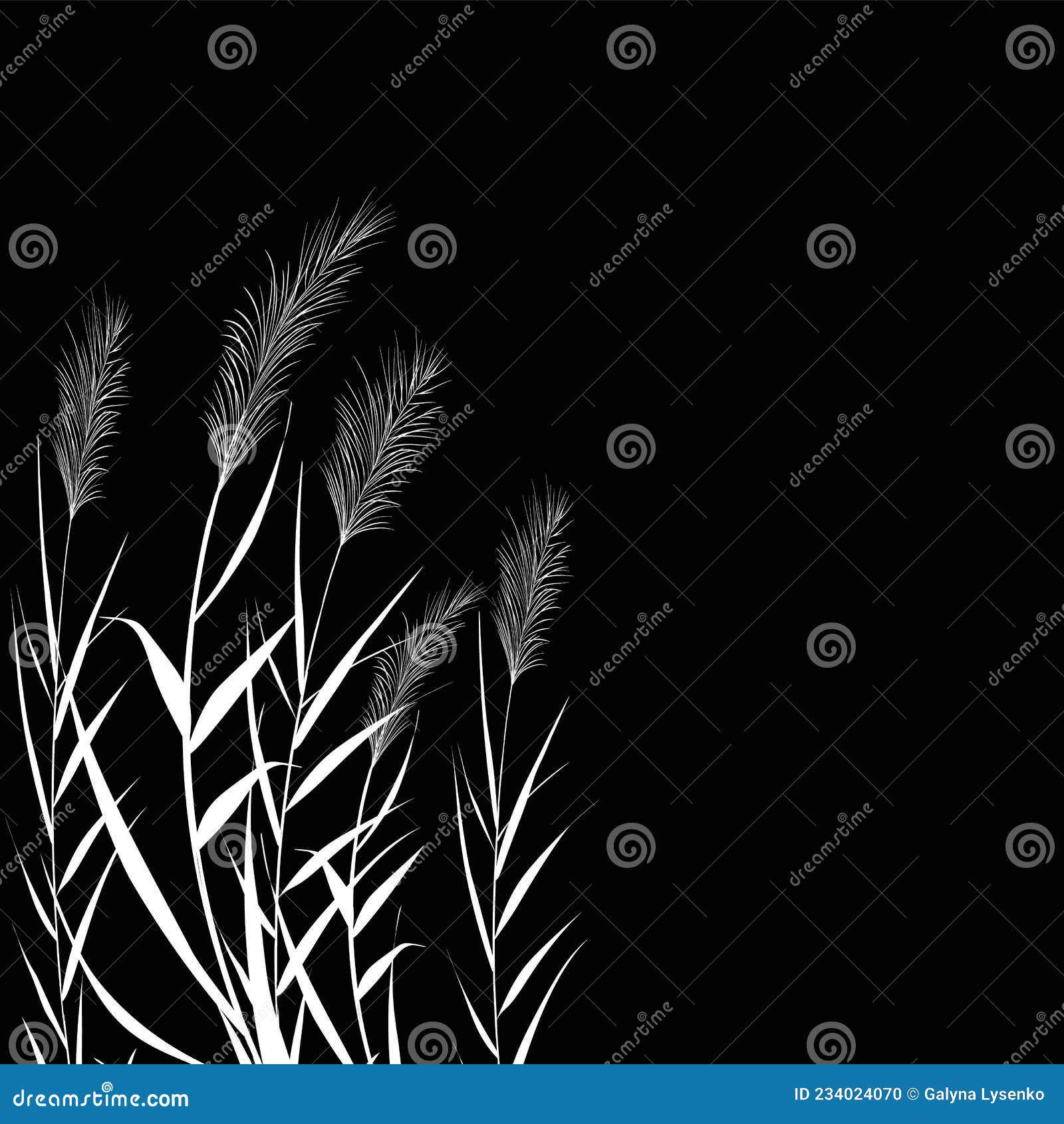 Sedge Background. Vector Version Stock Illustration | CartoonDealer.com ...