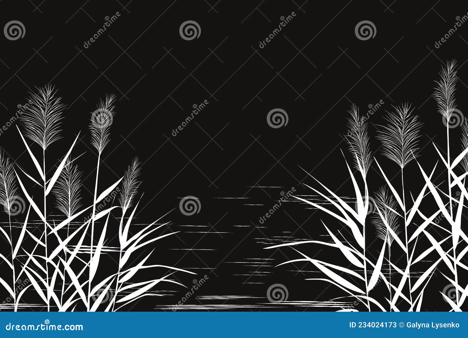 Black Silhouette of Reeds, Sedge, Cane, Bulrush, or Grass on a White ...