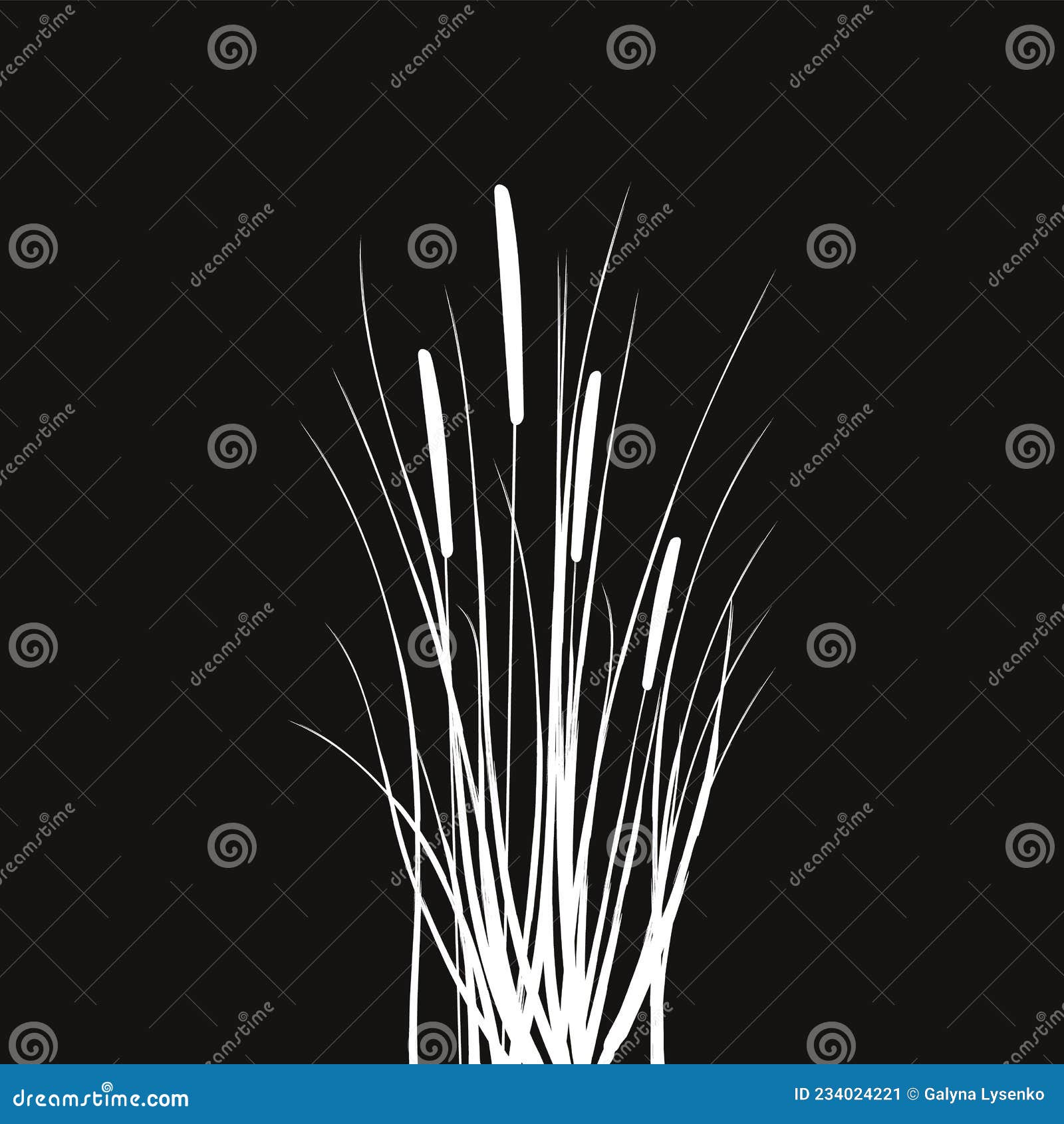 Black Silhouette of Reeds, Sedge, Cane, Bulrush, or Grass on a White ...