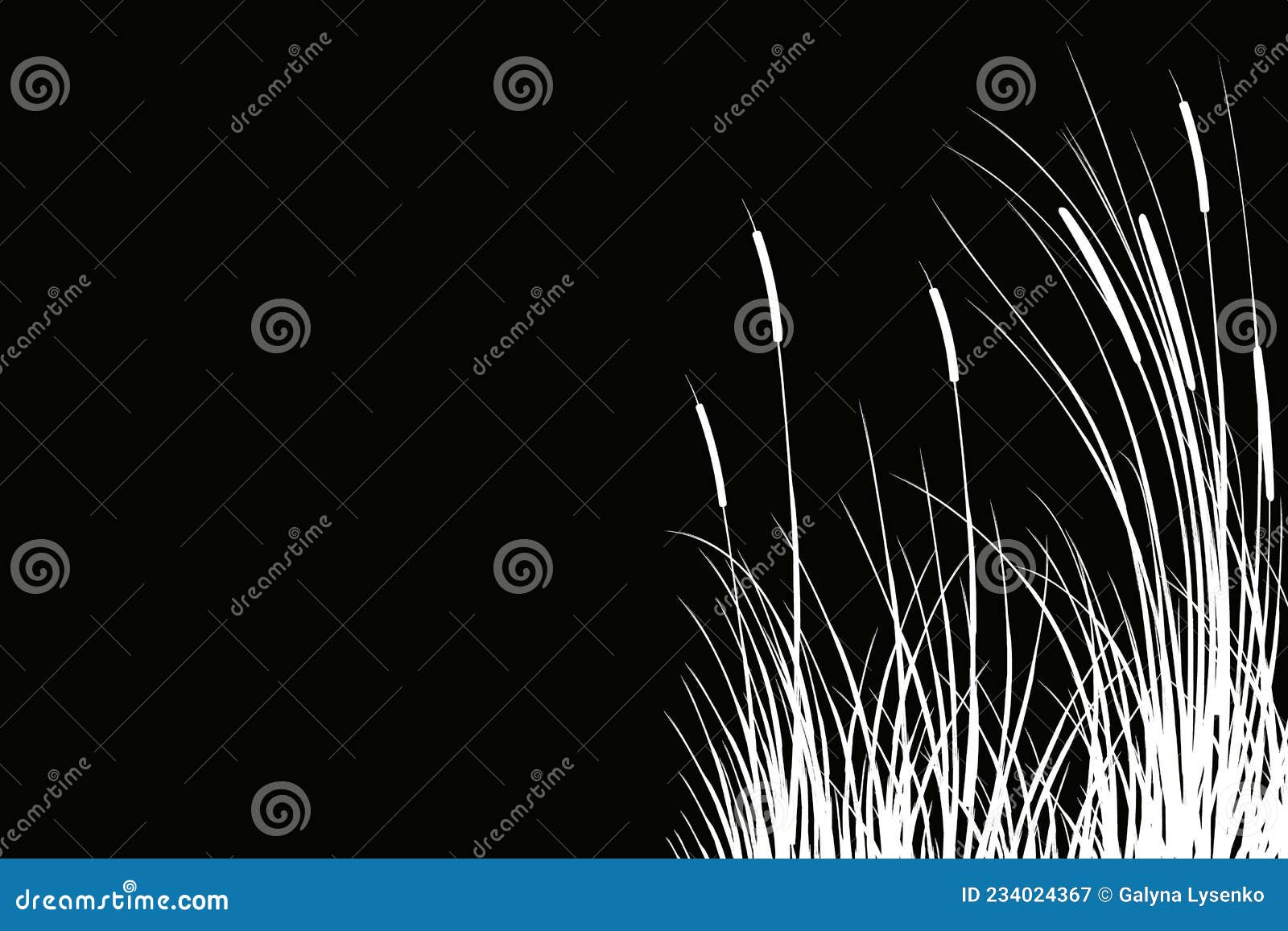 Sedge Background. Vector Version Stock Illustration | CartoonDealer.com ...