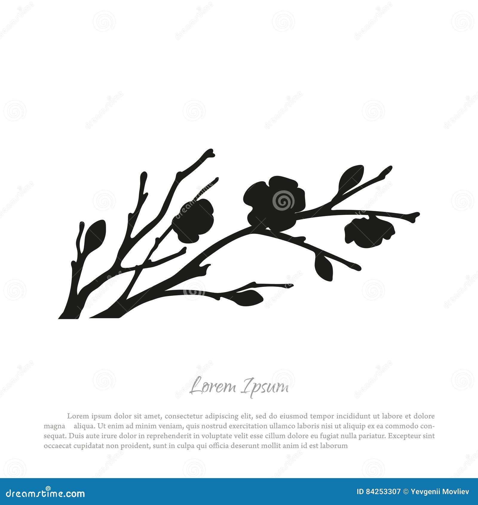Black Silhouette of Sakura Branches on a White Background. Bloom Stock ...