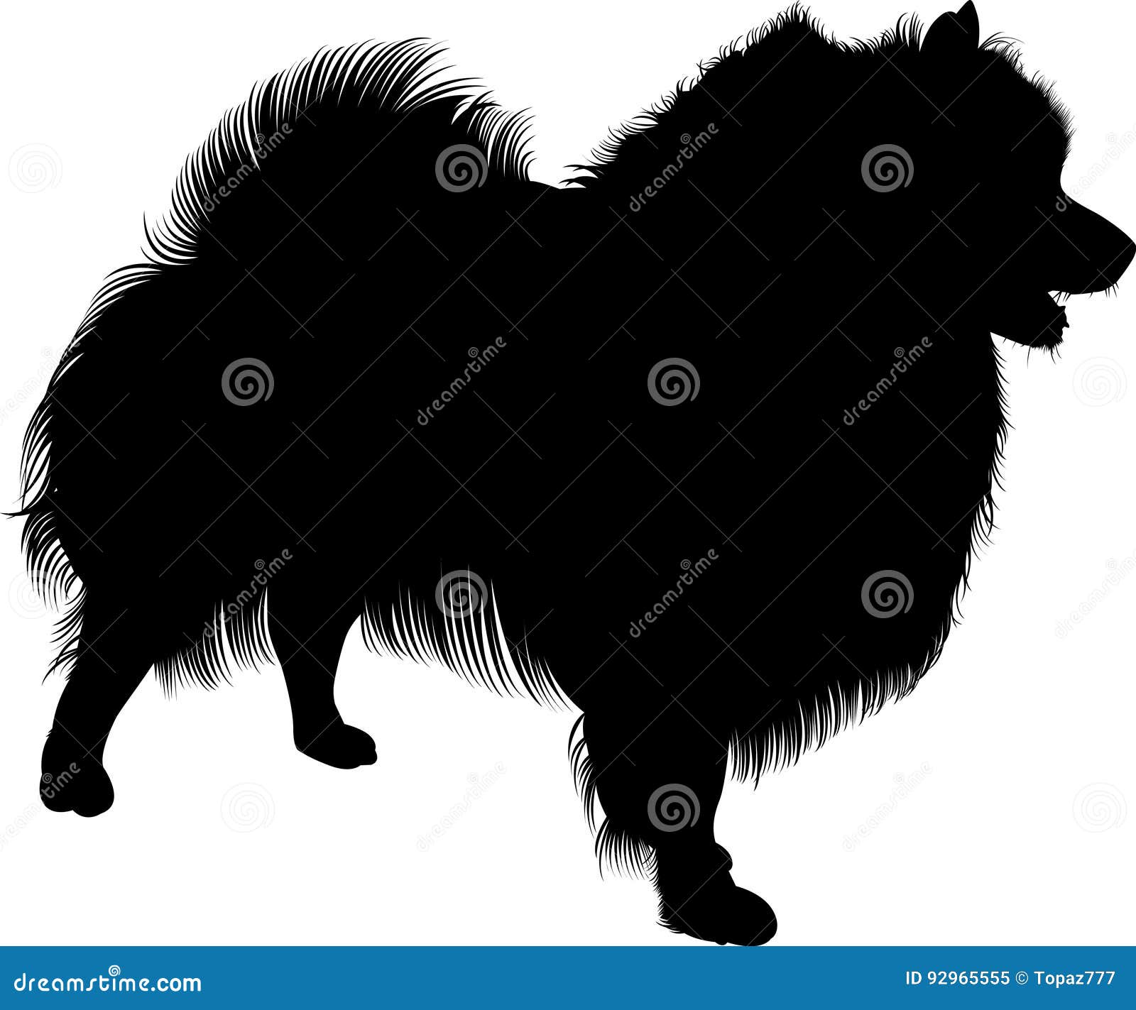 Wolfspitz Cartoons, Illustrations & Vector Stock Images - 18 Pictures ...