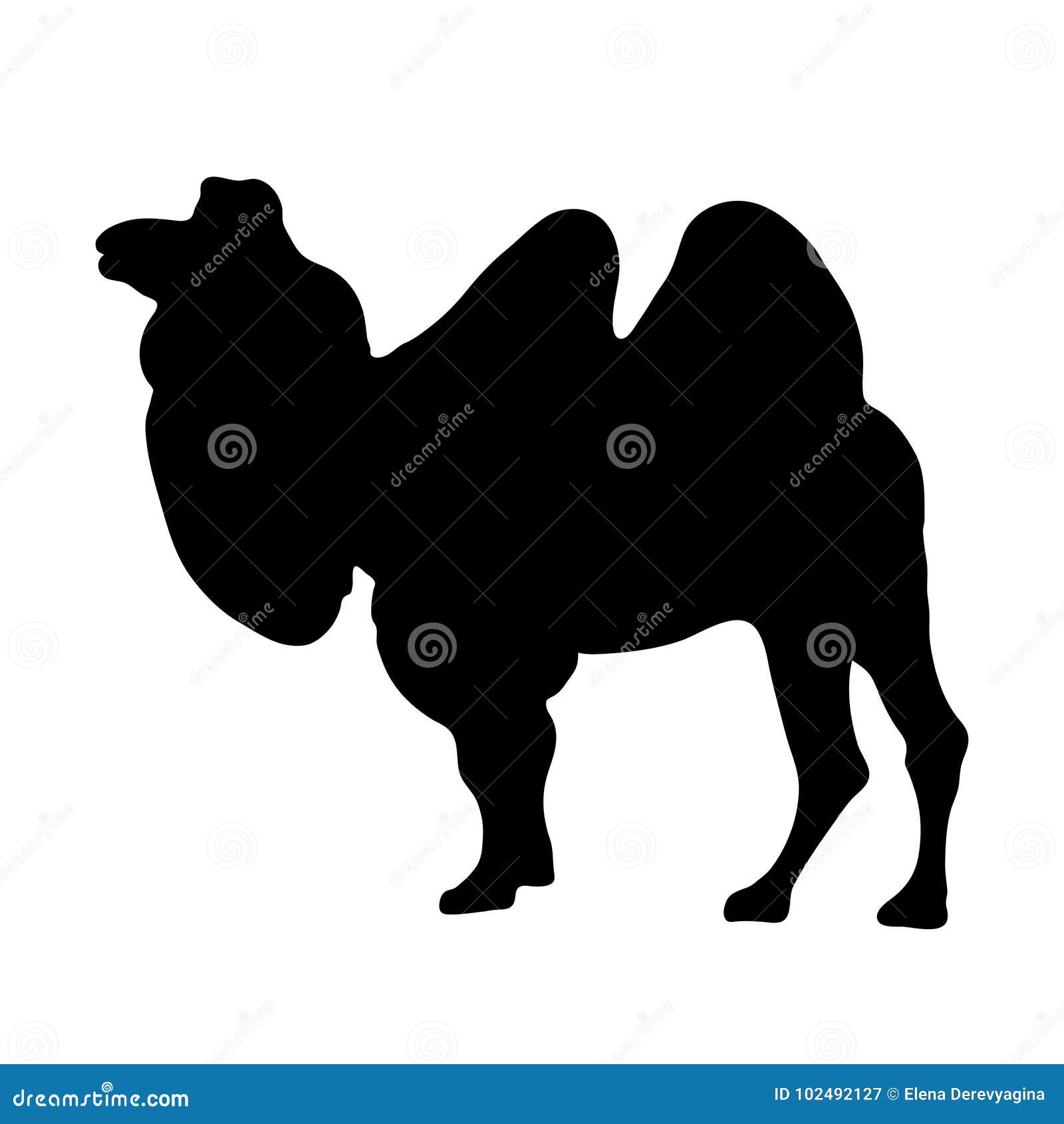 Standing Camel Profile Vector Black Silhouette Royalty-Free Stock ...
